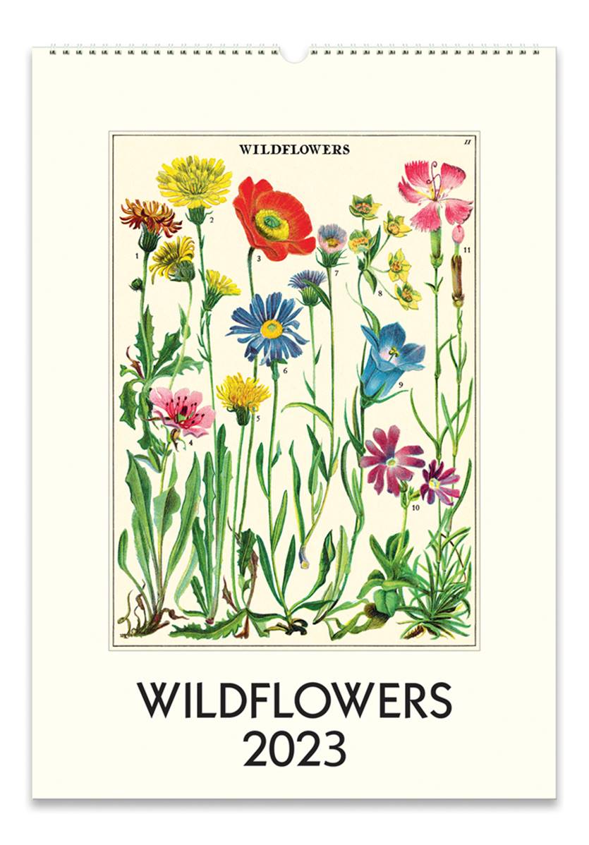Calendrier mural 2023 fleurs sauvages
